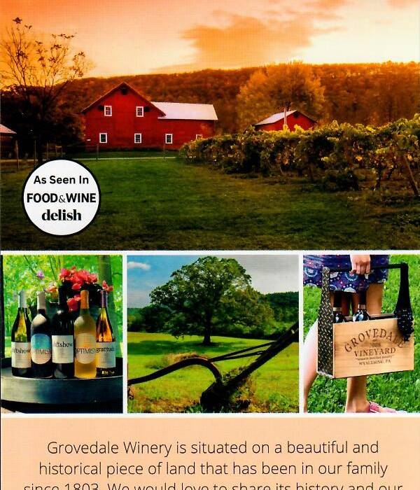 Grovedale Winery - Getaways On Display
