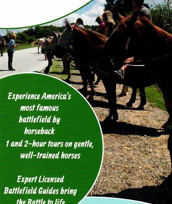 National Riding Stables Horse Rescue - Getaways On Display