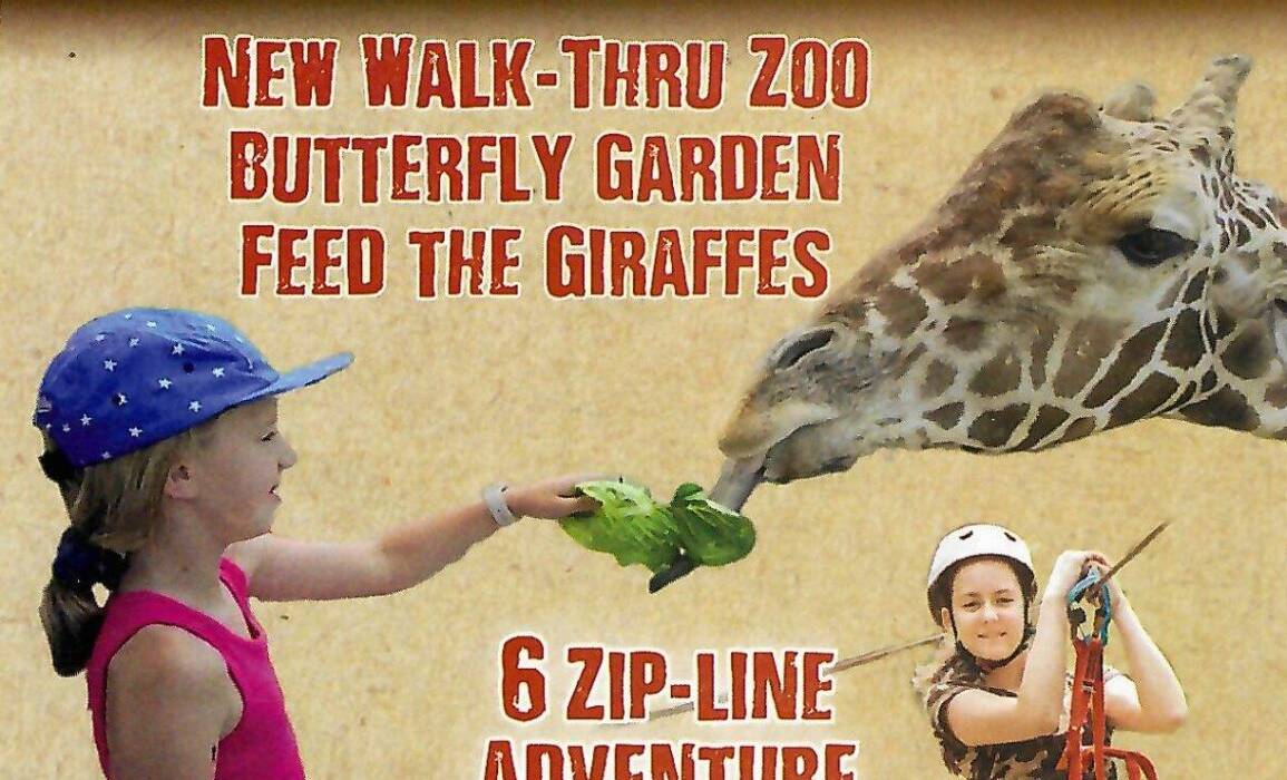 Keystone Safari - Getaways On Display