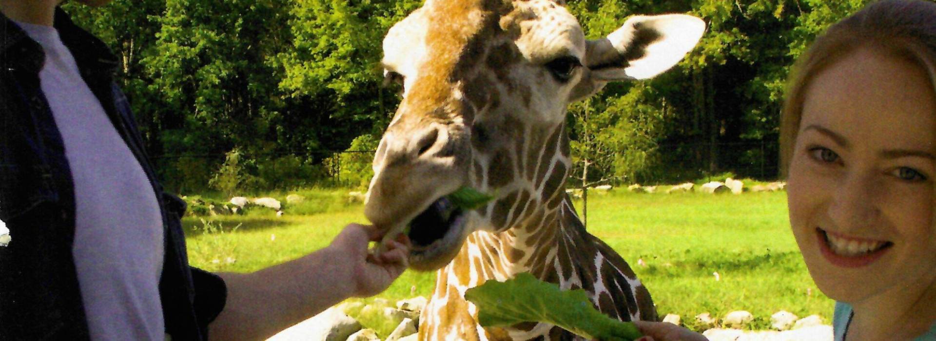 Mercer County 2025-2026 Official Visitors Guide - Getaways On Display