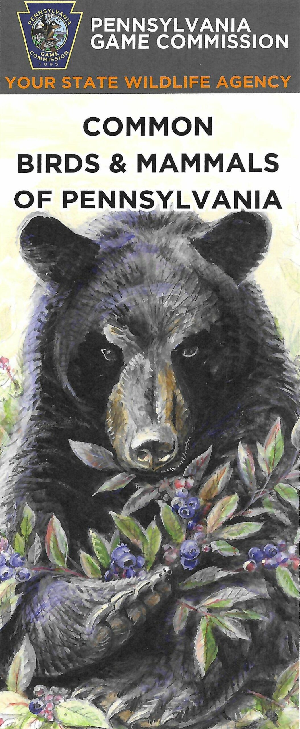 PA Game Commission - Common PA Birds & Mammals - Getaways On Display