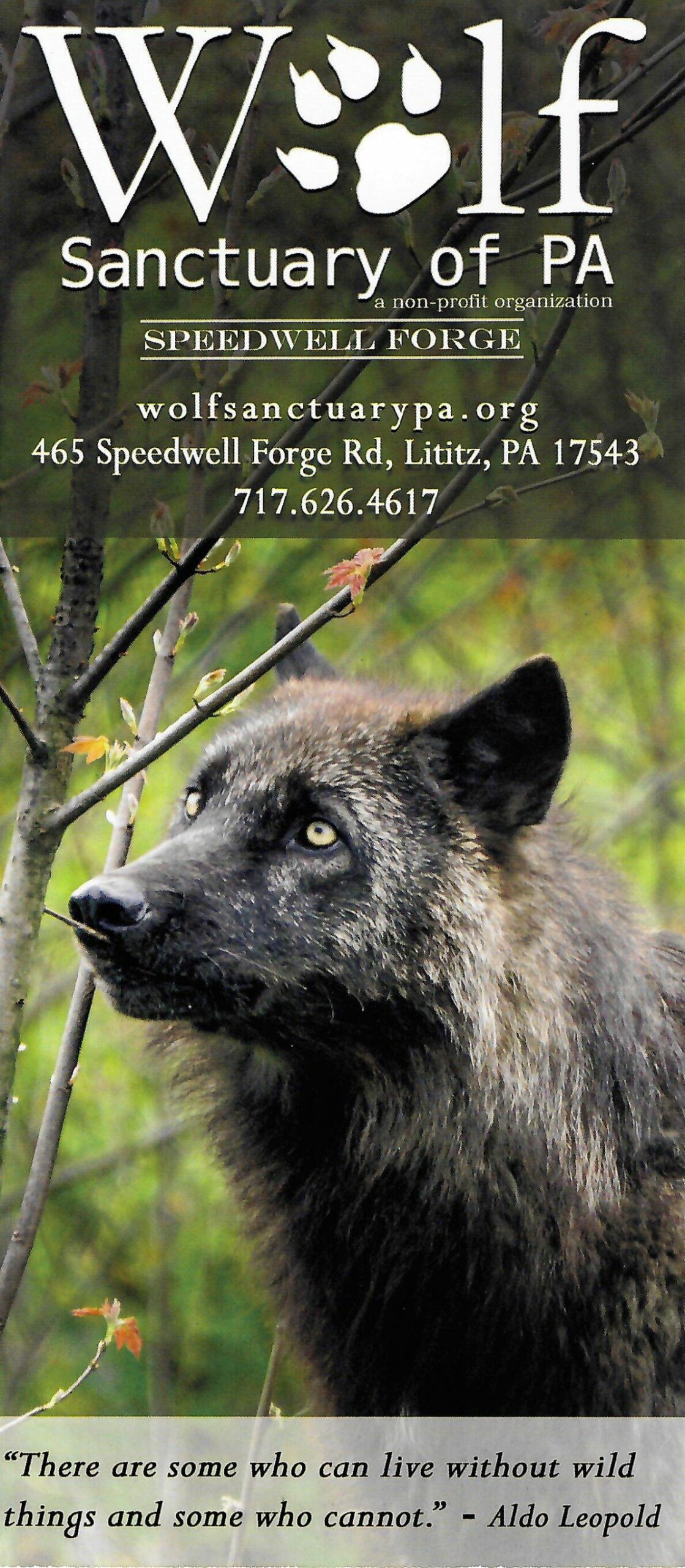 Wolf Sanctuary of PA - Getaways On Display