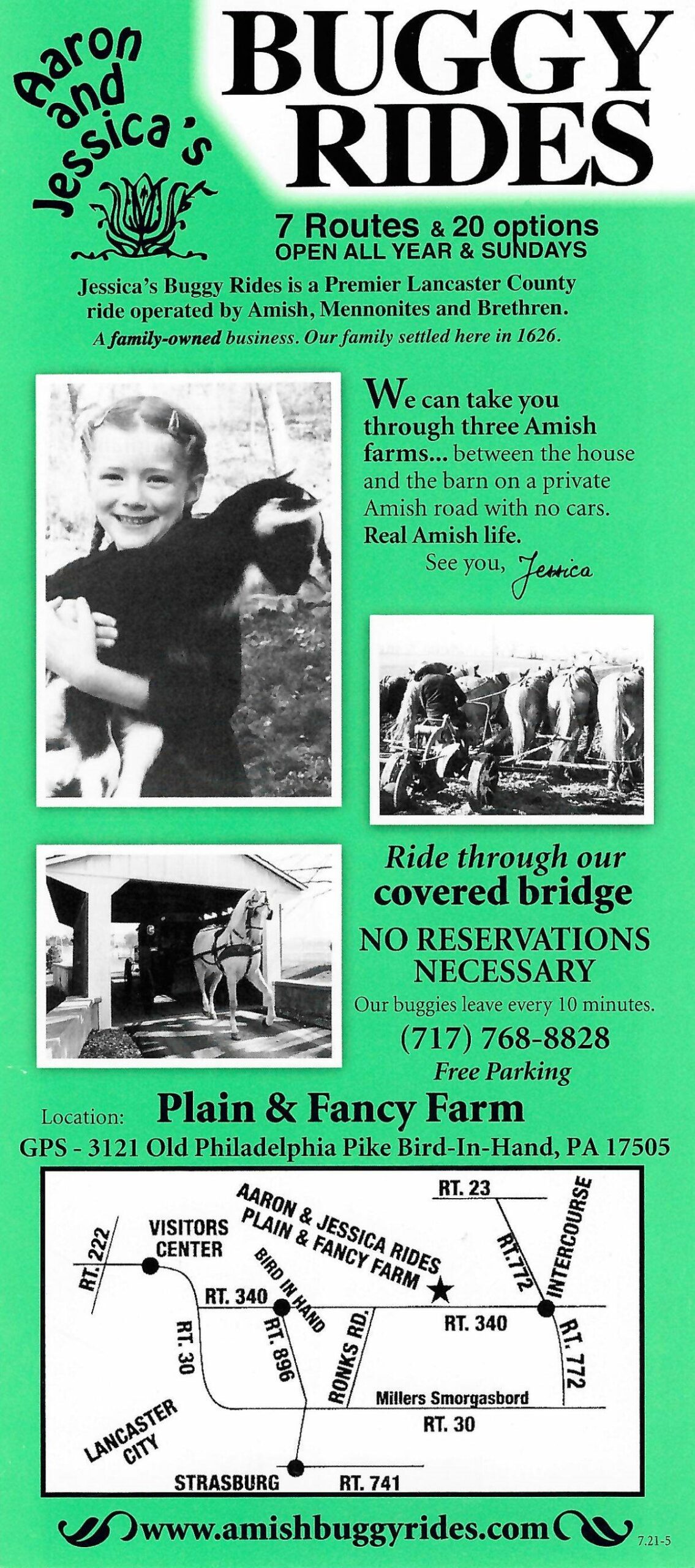 Aaron & Jessica's Buggy Rides - Getaways On Display