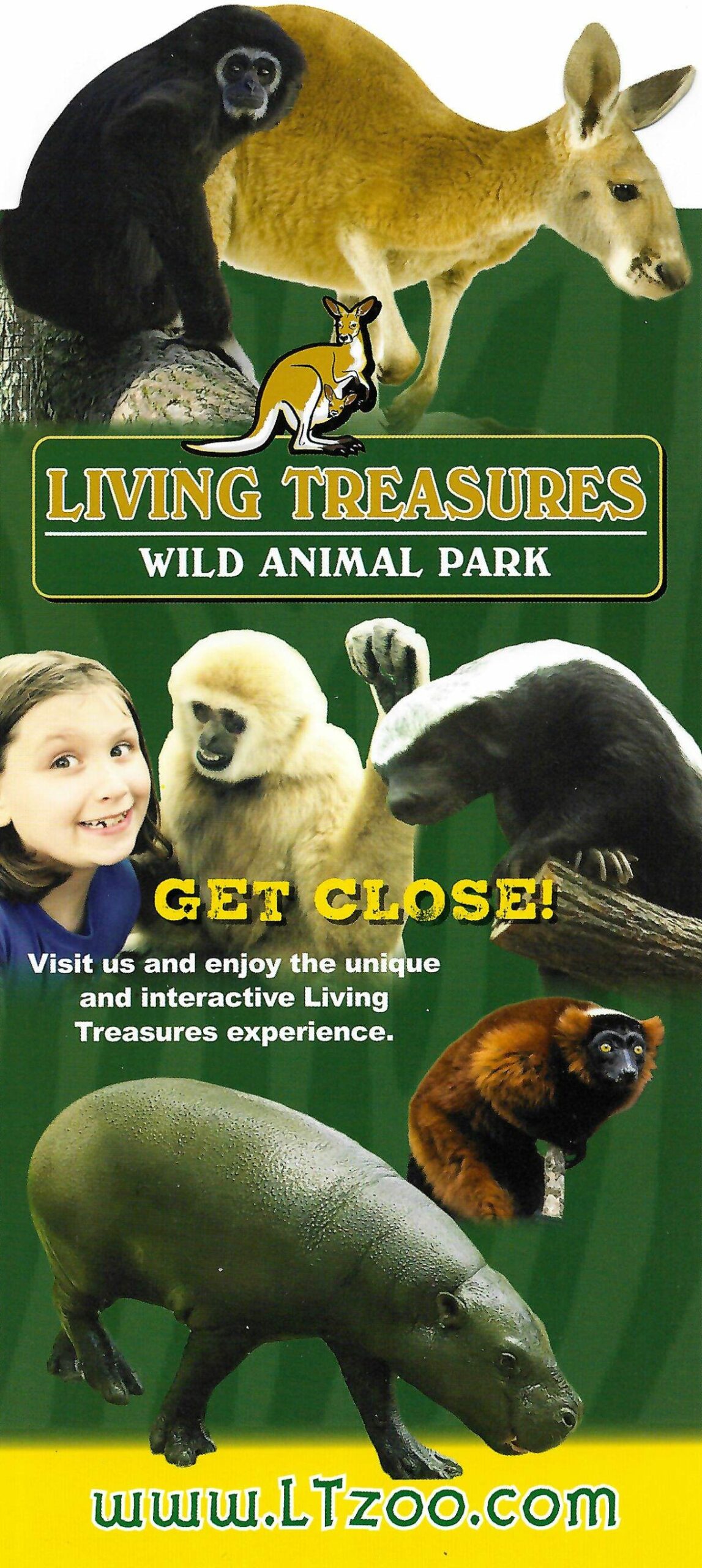 Living Treasures - Wild Animal Park - Getaways On Display